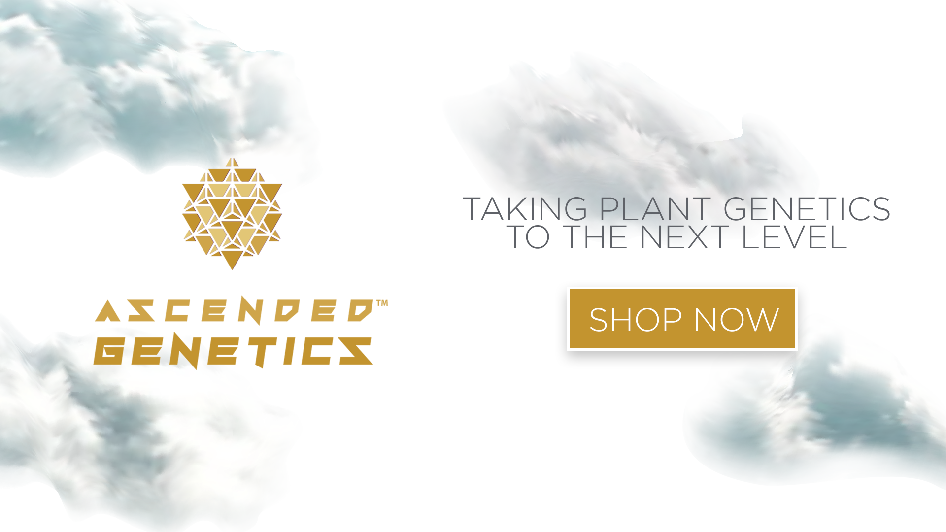 Ascended Genetics Header – Ascended Genetics